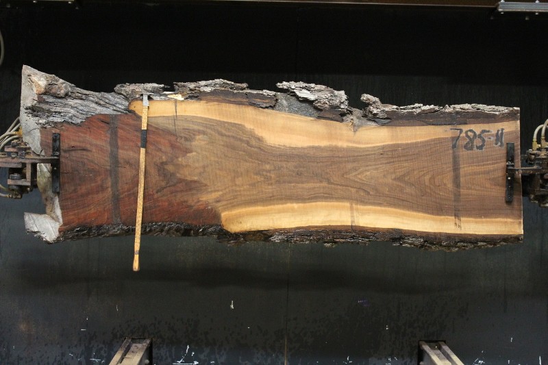 Walnut Slabs - Wood Vendors