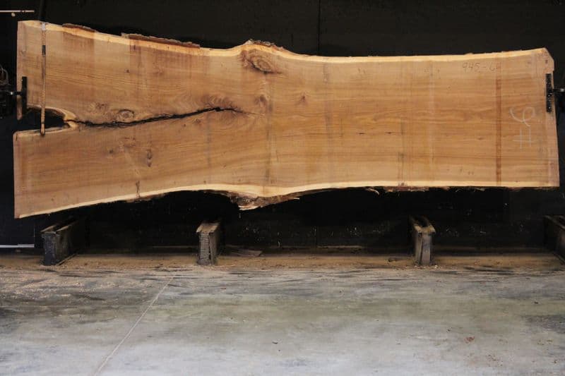 Siberian Elm Slabs - Wood Vendors