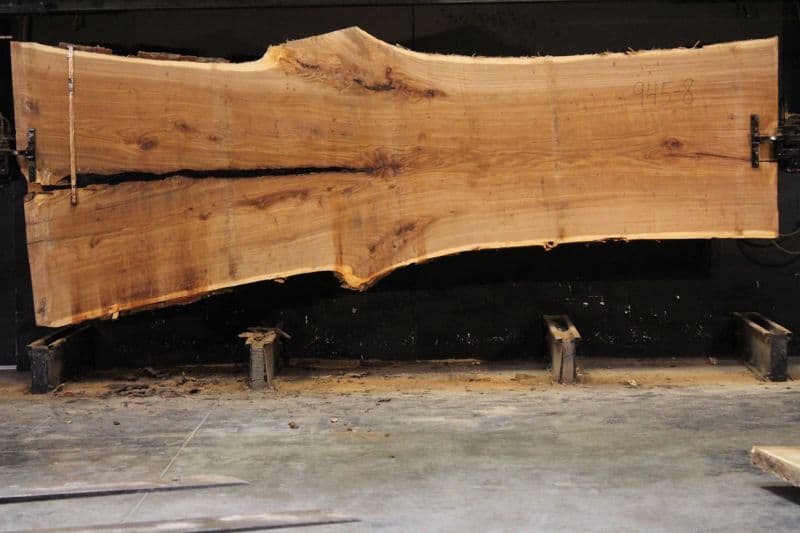 Siberian Elm Slabs - Wood Vendors