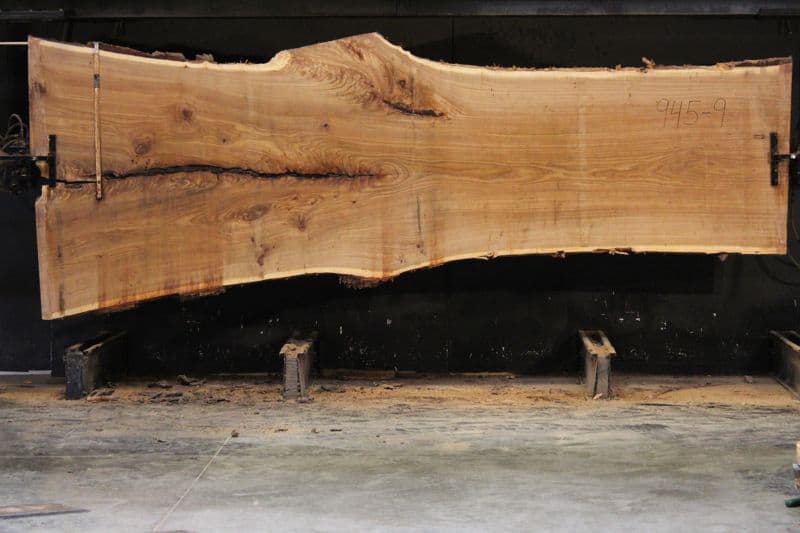 Siberian Elm Slabs - Wood Vendors