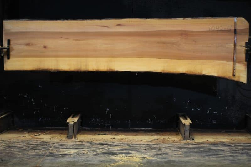 Sycamore Slabs - Wood Vendors